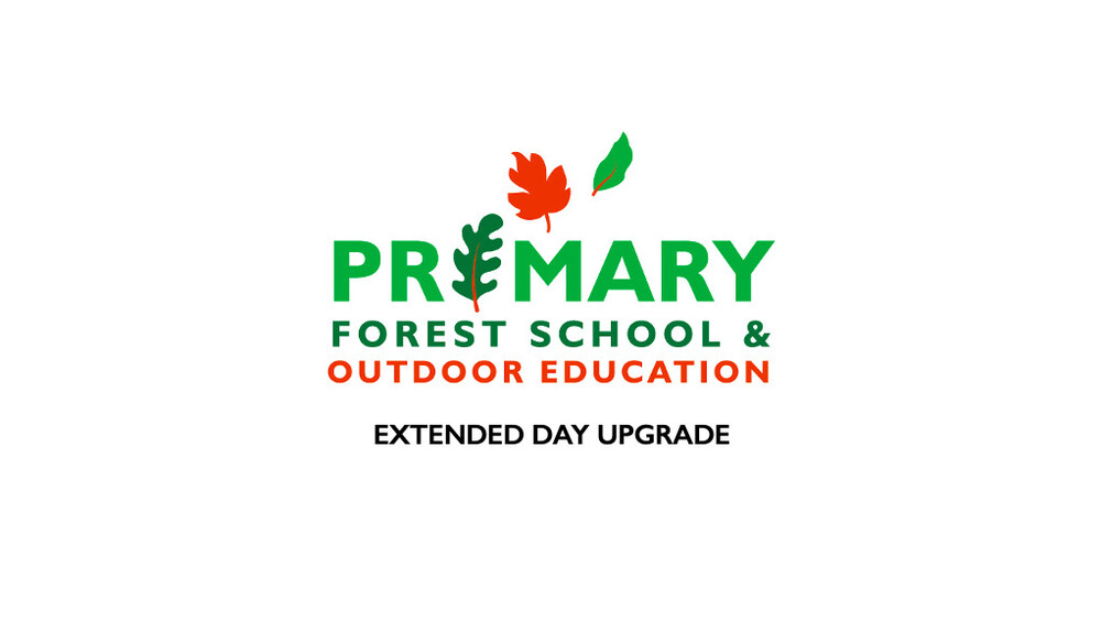 Holiday Clubs Upgrades! | Book Now | Primary Forest School & Sports ...