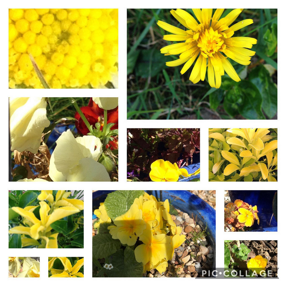 Supporting these Uncertain Times | Primary Forest School & Outdoor ...